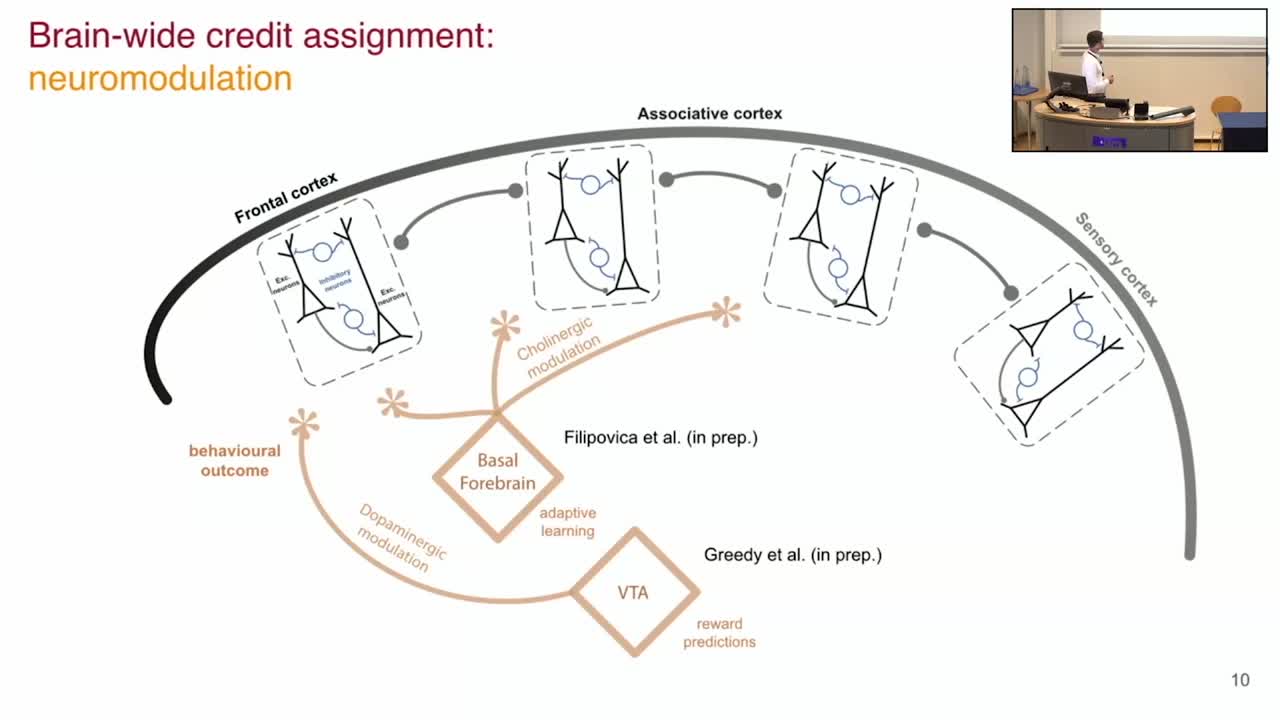 - Dr Rui Ponte Costa - UCL NeuroAI Conference 2024