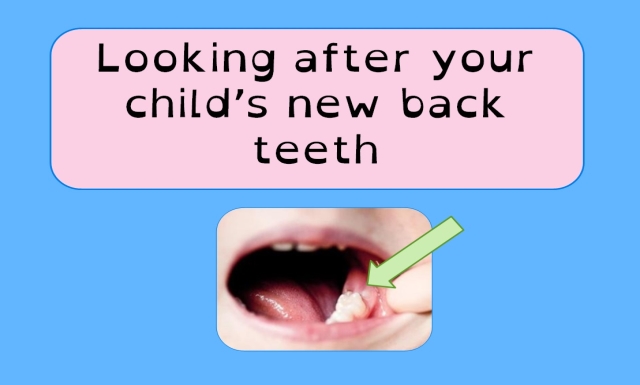 Looking after your child's new back teeth