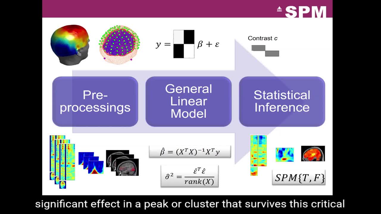 - SPM Introduction - Guillaume Flandin