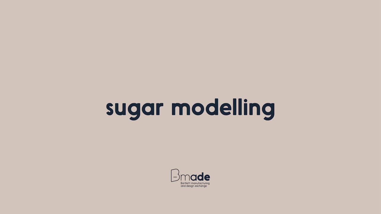 - sugar model
