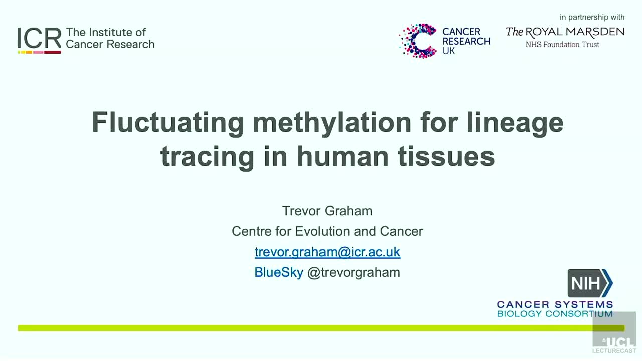- UCL Computational Cancer Collaboratorium Seminar Series - Professor ...