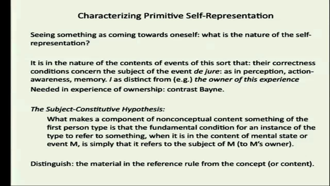 - Philosophy 1 - Self and Self-Representation - Video