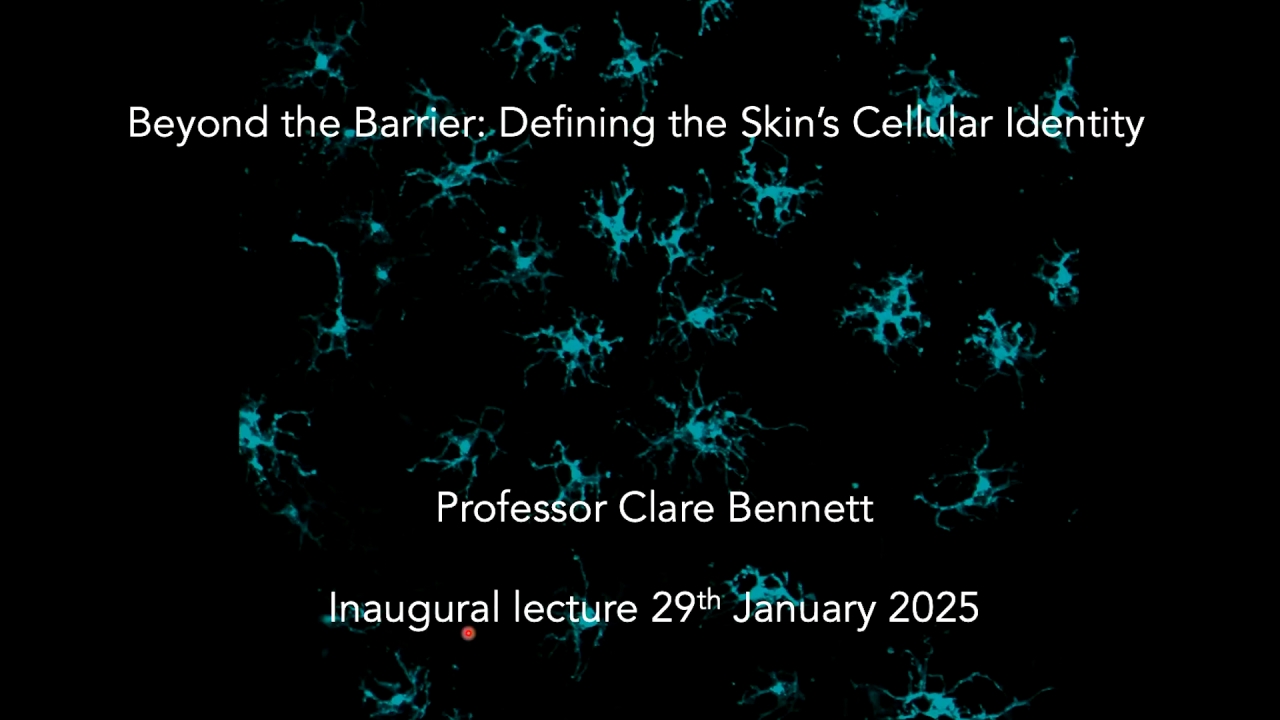 - Beyond the Barrier: Defining the Skin's Cellular Identity